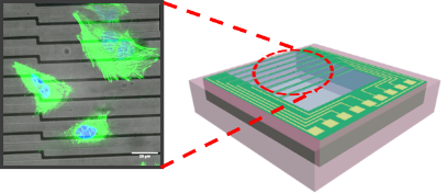 Soft MEMS (CSEM) – FED4SAE